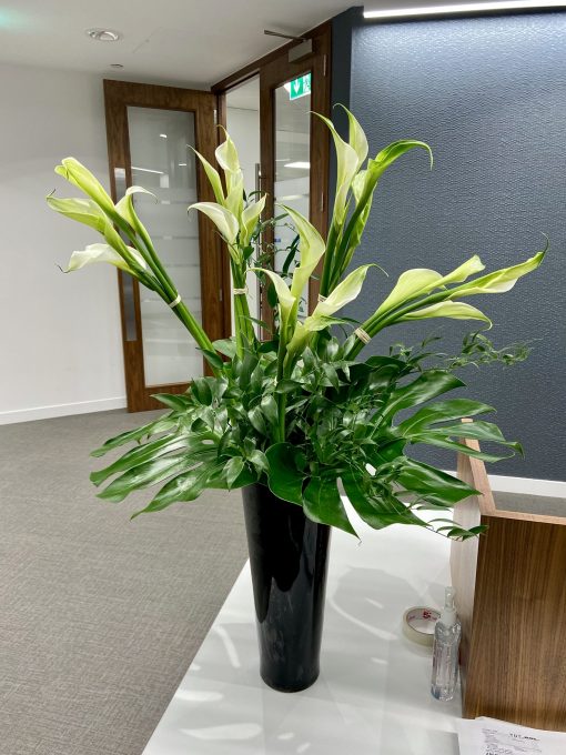 Office Flowers | Flowers by Flourish