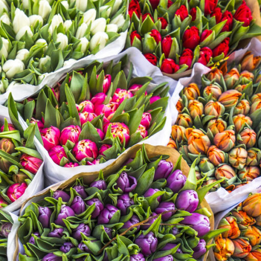 Pink Tulip Delivery – Elegant Bouquets for Any Occasion | Flowers by ...