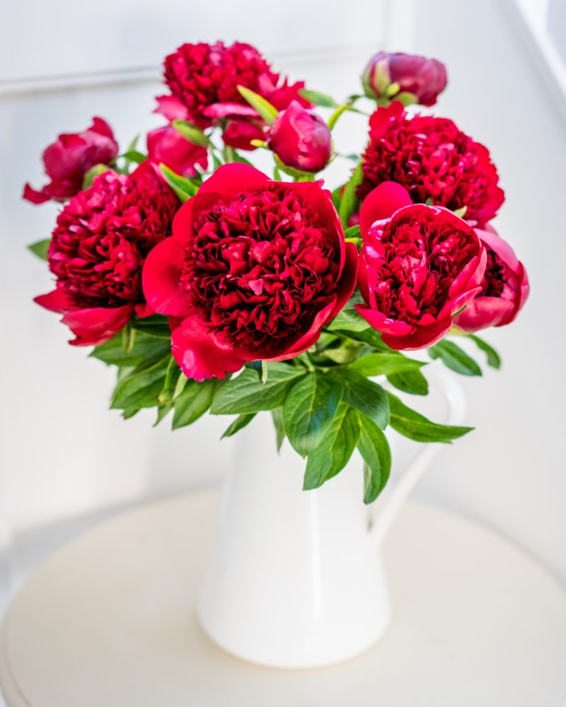 Peonies | Flowers by Flourish