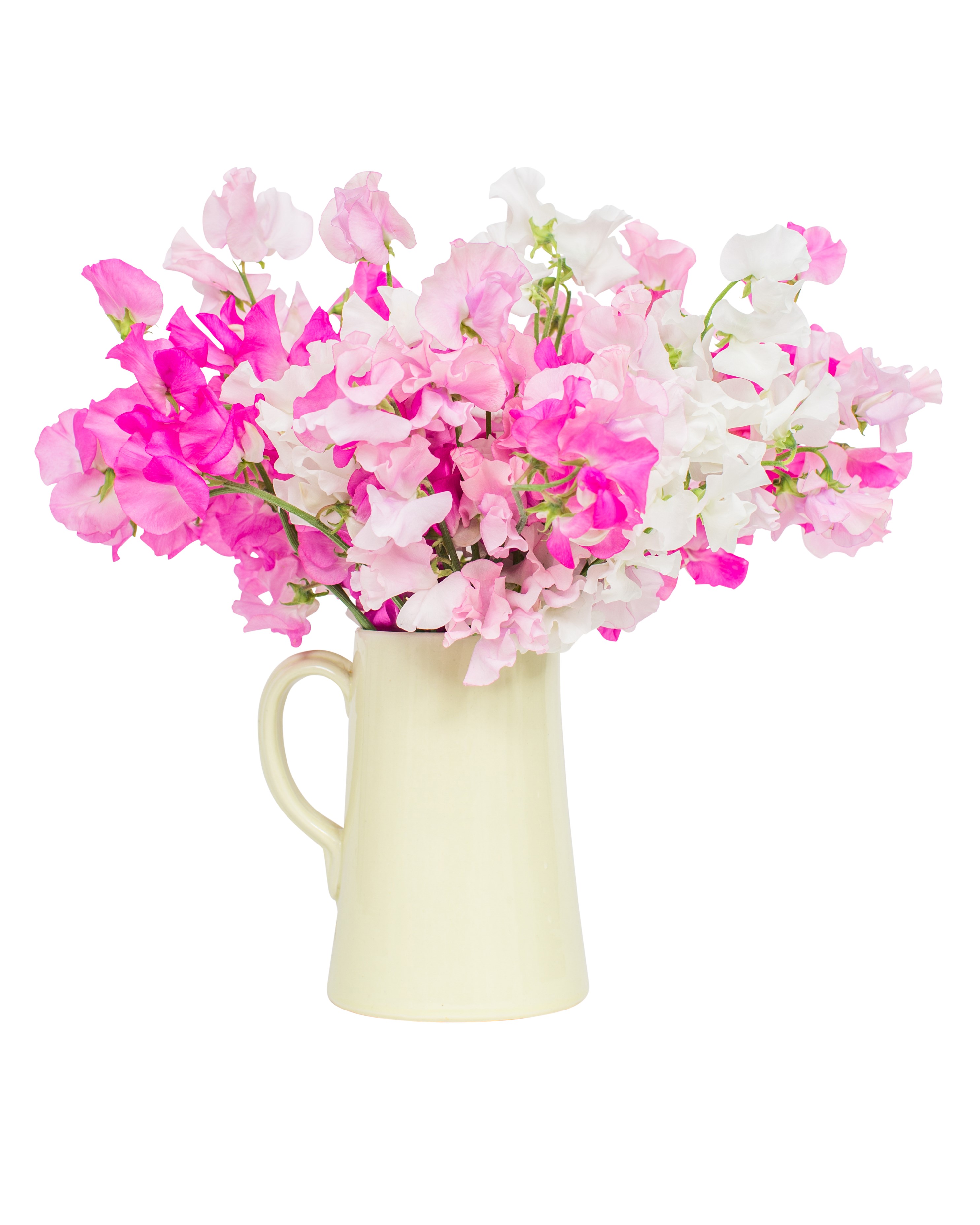 Sweet Peas - Florist Choice | Send a Bouquet Across the UK Now.