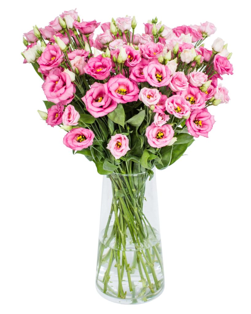 Lisianthus - Arosa Red | Flowers by Flourish | Use Code FBF10 for 10% OFF