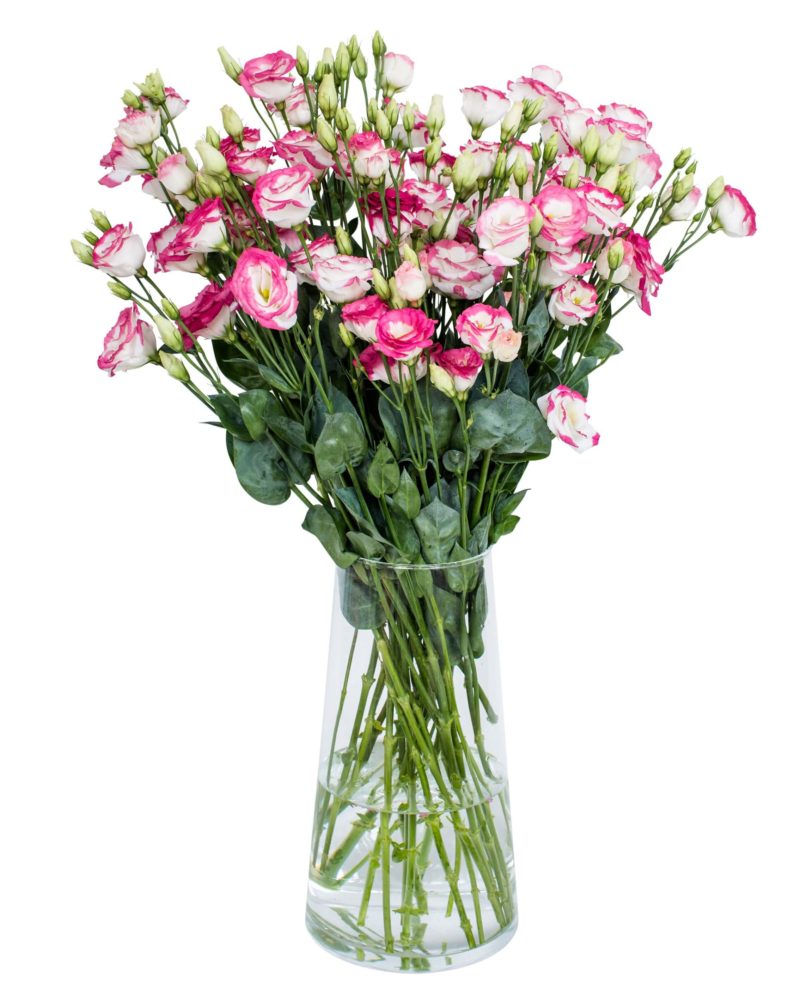 LISIANTHUS BOUQUETS | Flowers by Flourish