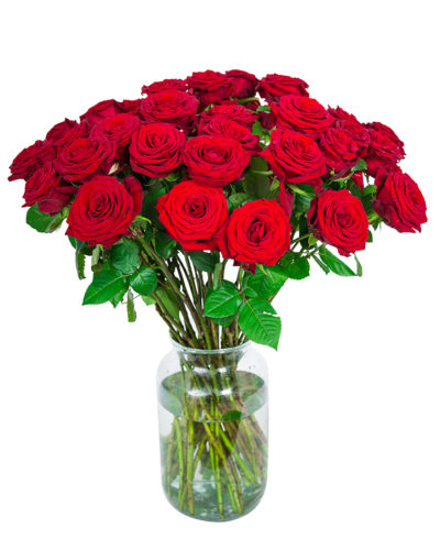 40 Long Stemmed Red Roses - Fresh Red Roses, Red Roses Delivery, 40 Red ...
