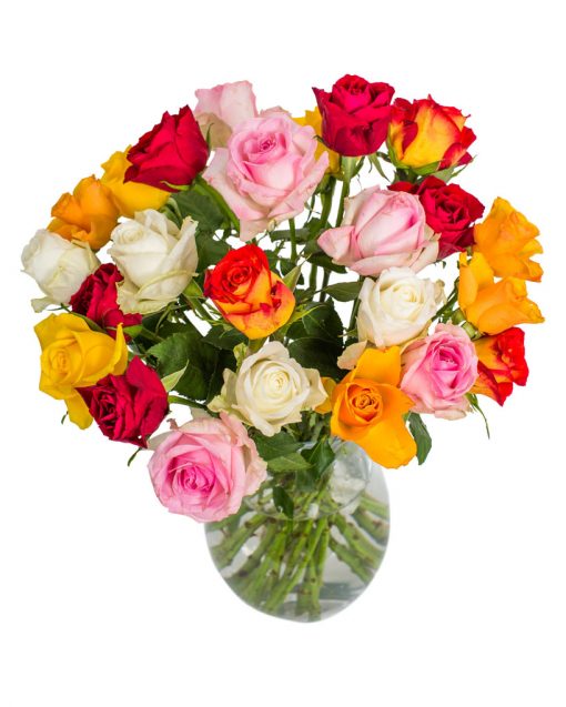 20 Long Stemmed Mixed Roses - Fresh Mixed Roses, Rainbow Roses, Mixed ...