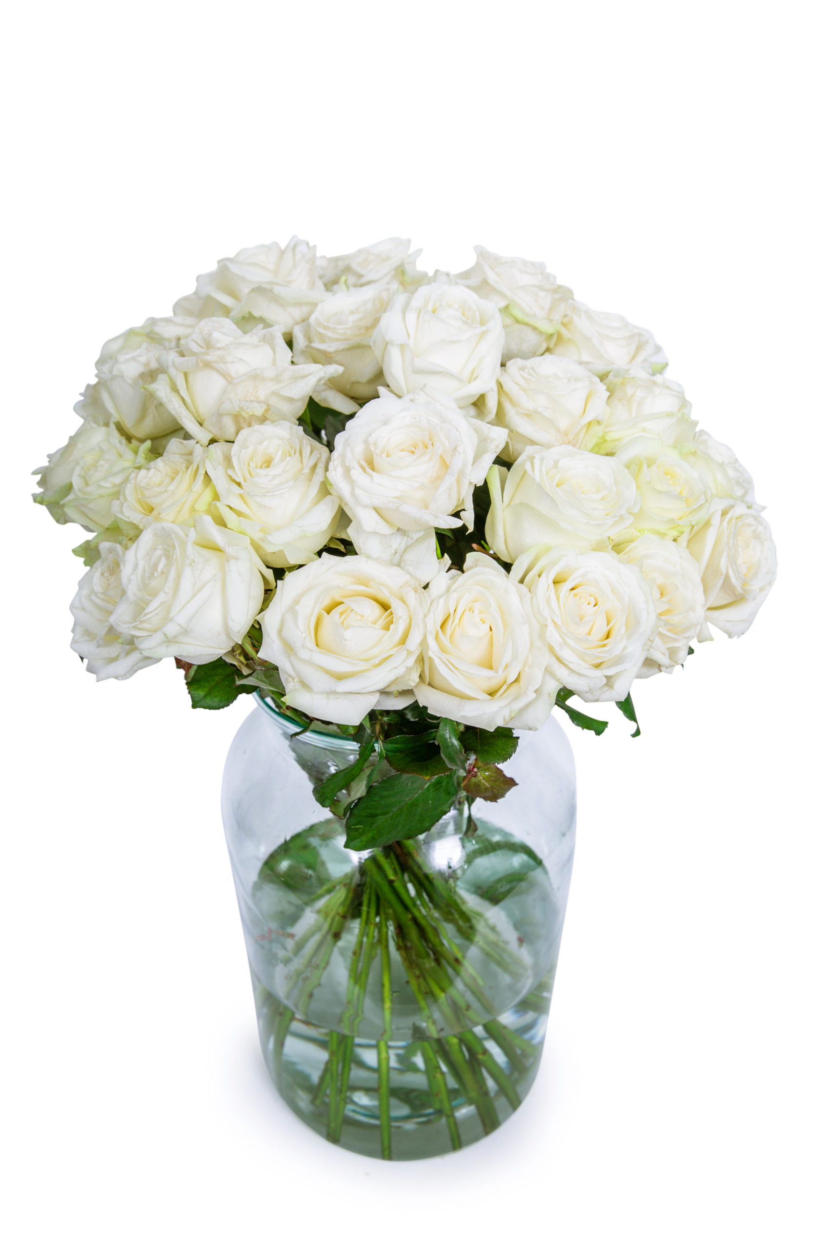 10 Long Stemmed White Roses - 10 White Roses, Fresh White Roses, White ...
