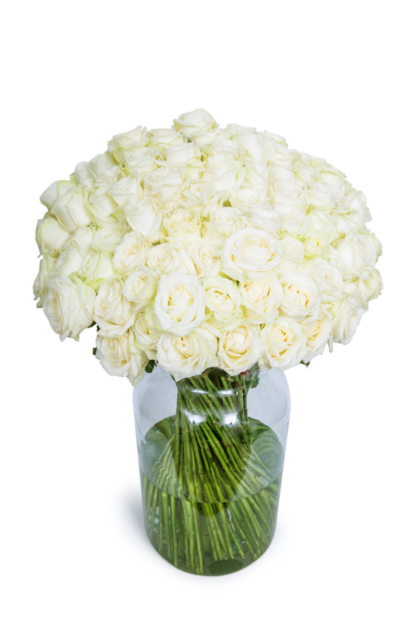 90 Long Stemmed White Roses - 90 White Roses, Fresh White Roses, White ...